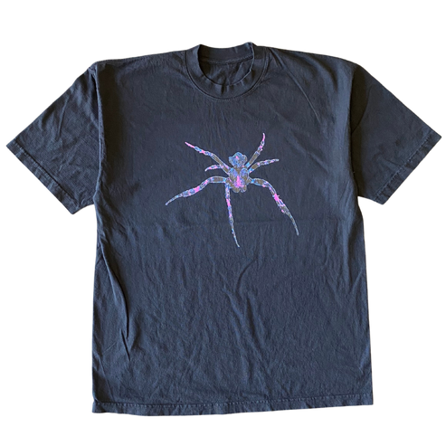 Araneus Spider Tee Shirt Outfit, For Men, For Women – Tiktok Teenager